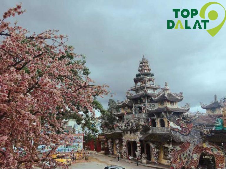 Chùa Ve Chai Đà Lạt, Độc Đáo Với Hàng Triệu Mảnh Sành - TopDaLat.Com